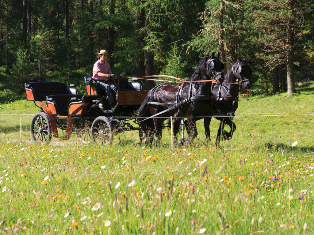 Gasthaus Spinas im Val Bevers | Schweiz