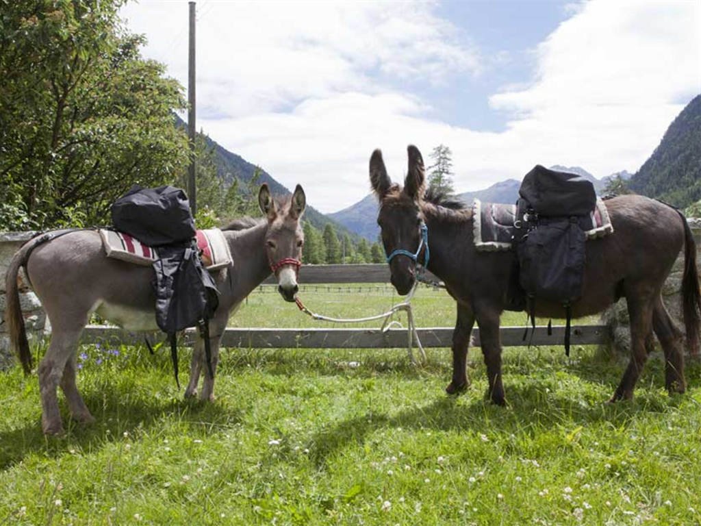Gasthaus Spinas im Val Bevers | Schweiz