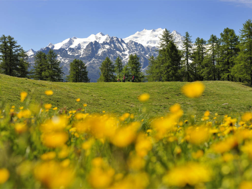 Urlaub im Wallis, dem Kanton der Superlative in der Schweiz